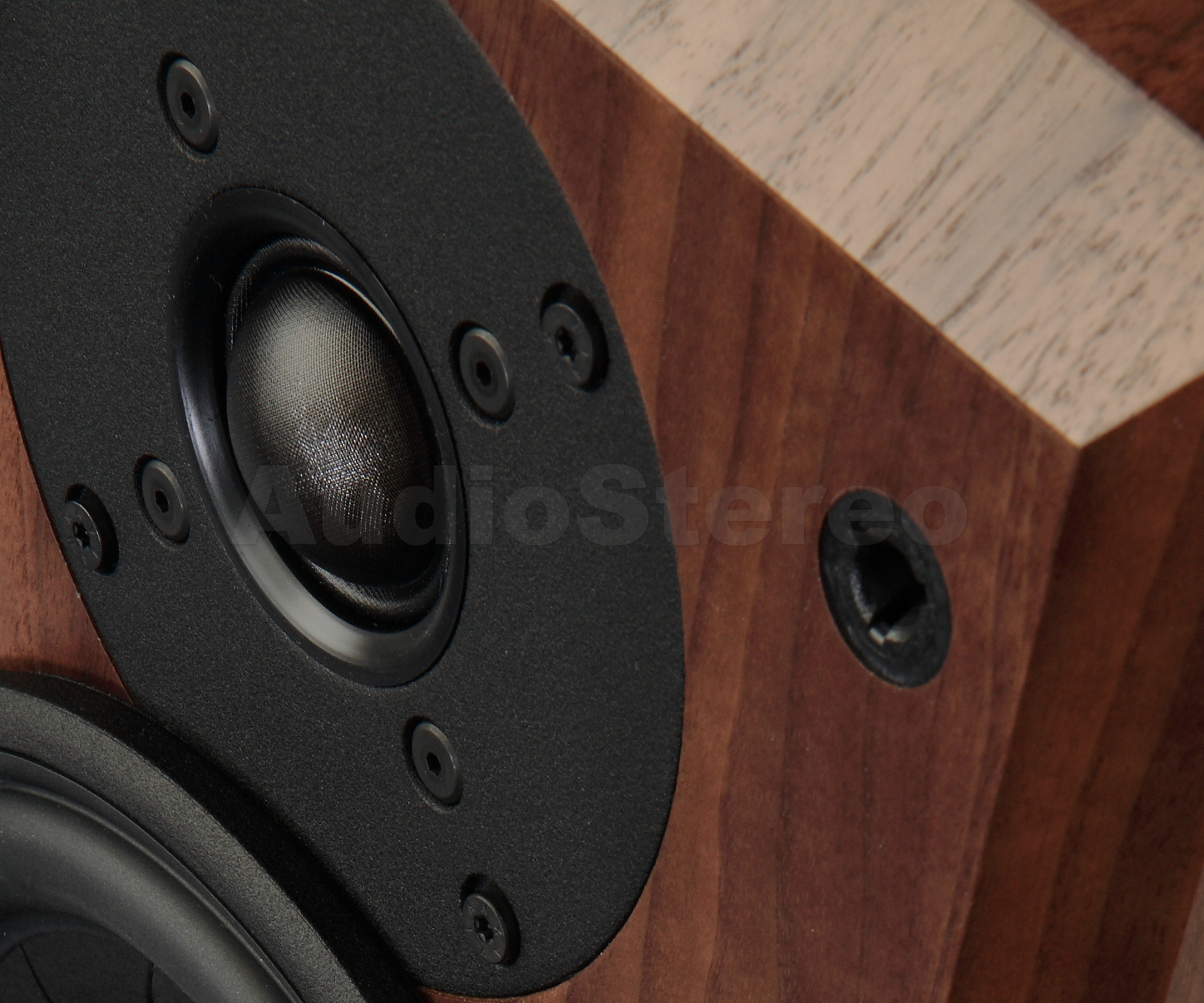 XAVIAN XN 250 Evoluzione - Incinte acustice high-end de stand